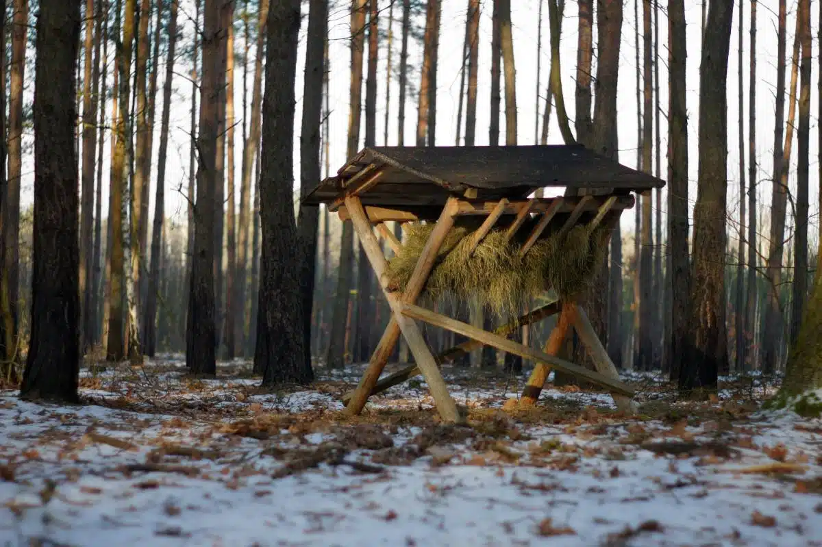 Heuraufe Selber Bauen – Die 16 besten Produkte im Vergleich ...