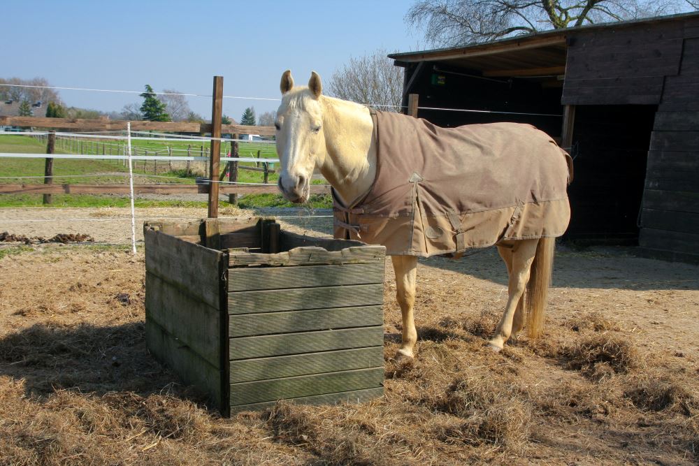 Heuraufe Selber Bauen – Die 16 besten Produkte im Vergleich ...