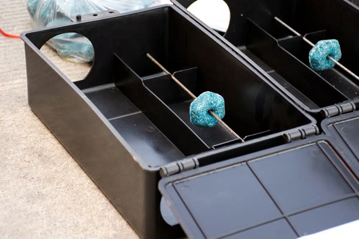 Rattenköder – Die 16 besten Produkte im Vergleich - Haustierratgeber ...